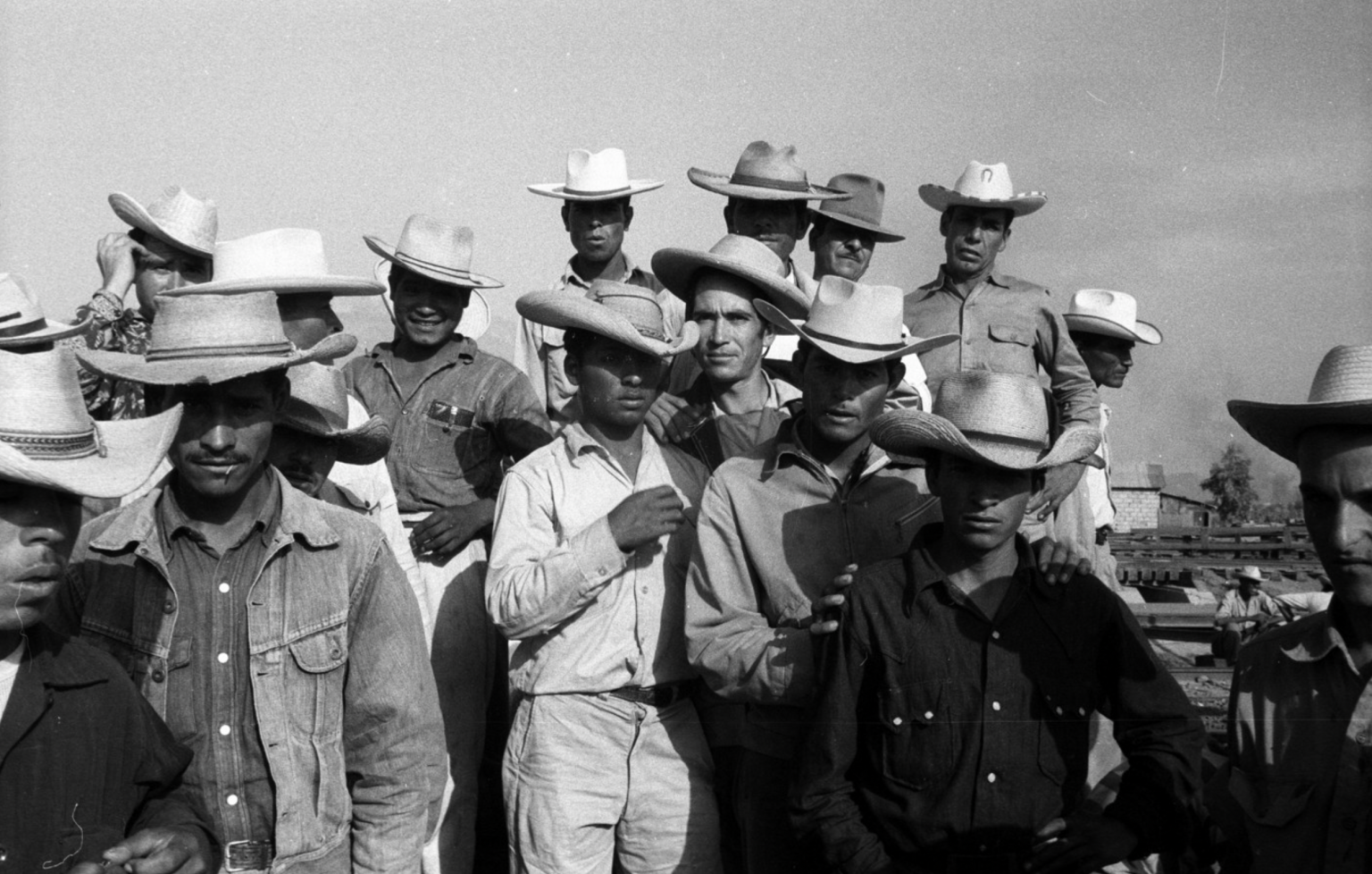 The Bracero Program - Cross Cultural Solidarity
