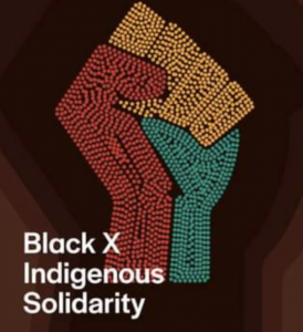 Black/Indigenous: Solidarities & Interconnections - Cross Cultural ...