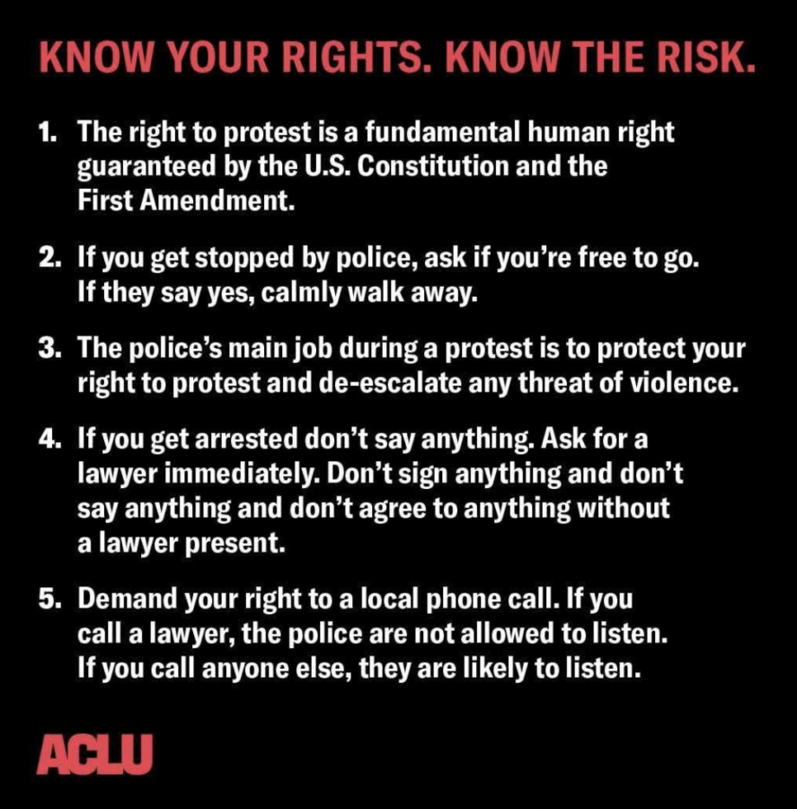 Protest Rights & Safety Tips - Cross Cultural Solidarity