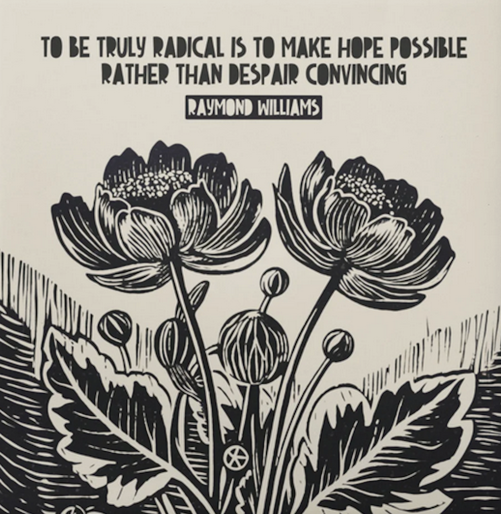 Cultivating Hope - Cross Cultural Solidarity